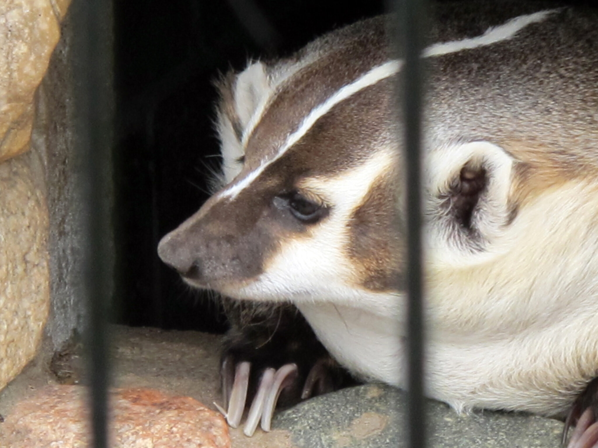 badger – Mary Bergin's Roads Traveled: Good Food & Travel in Wisconsin ...